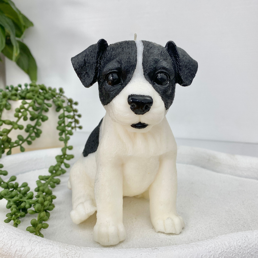 Spike Jack Russell Terrier Dog Candle – GLADYS & JACK